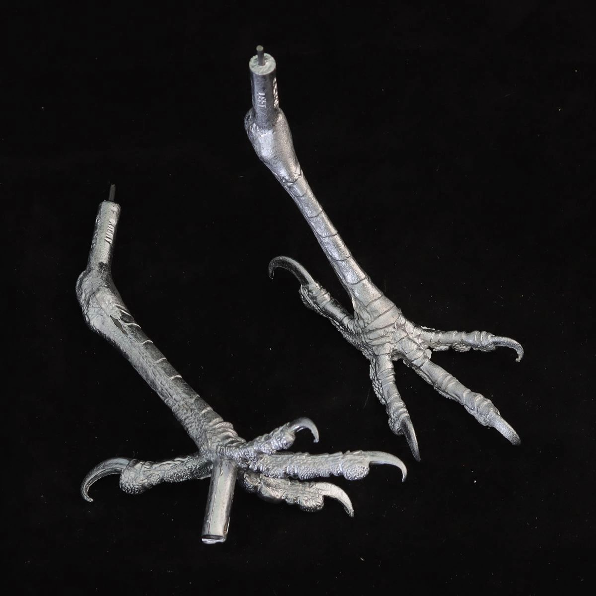 Crow Cast Bird Feet & Legs