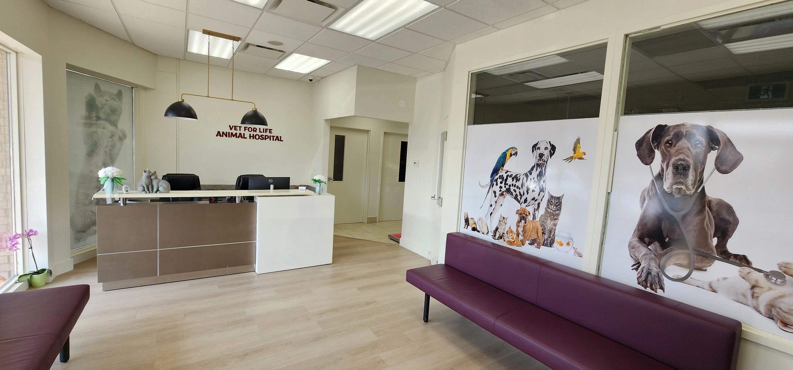 Vet For Life Animal Hospital - Open 7 Days, Wellness Exams for Pets ...