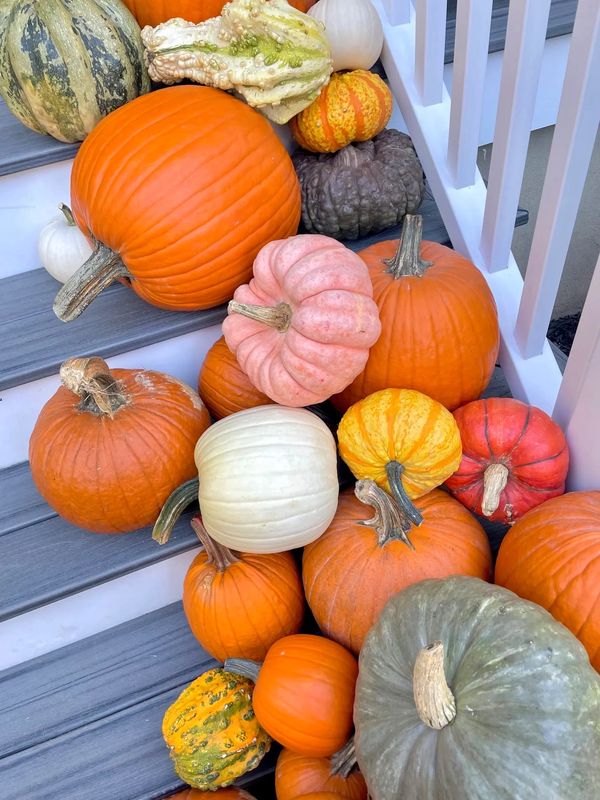Decorative porch pumpkins for your fall home decor Pumpkin Delivery NJ