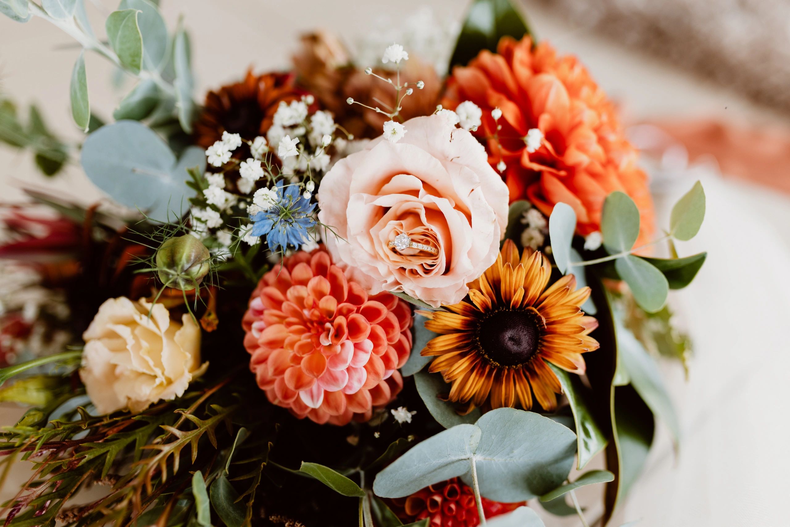 the flower hunt