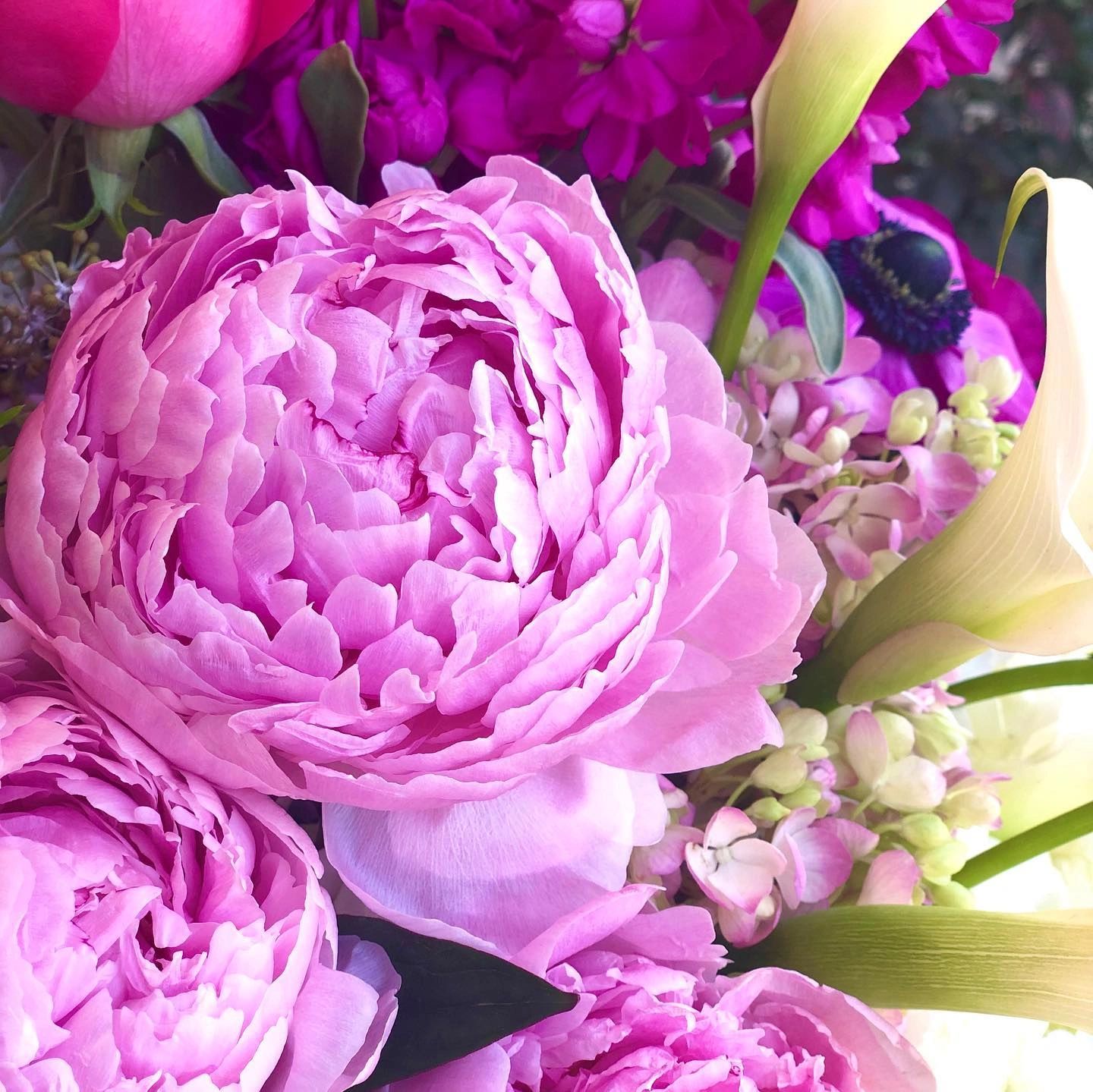 Flowers, Florist - Bellini Blooms - Ridgeland, Mississippi