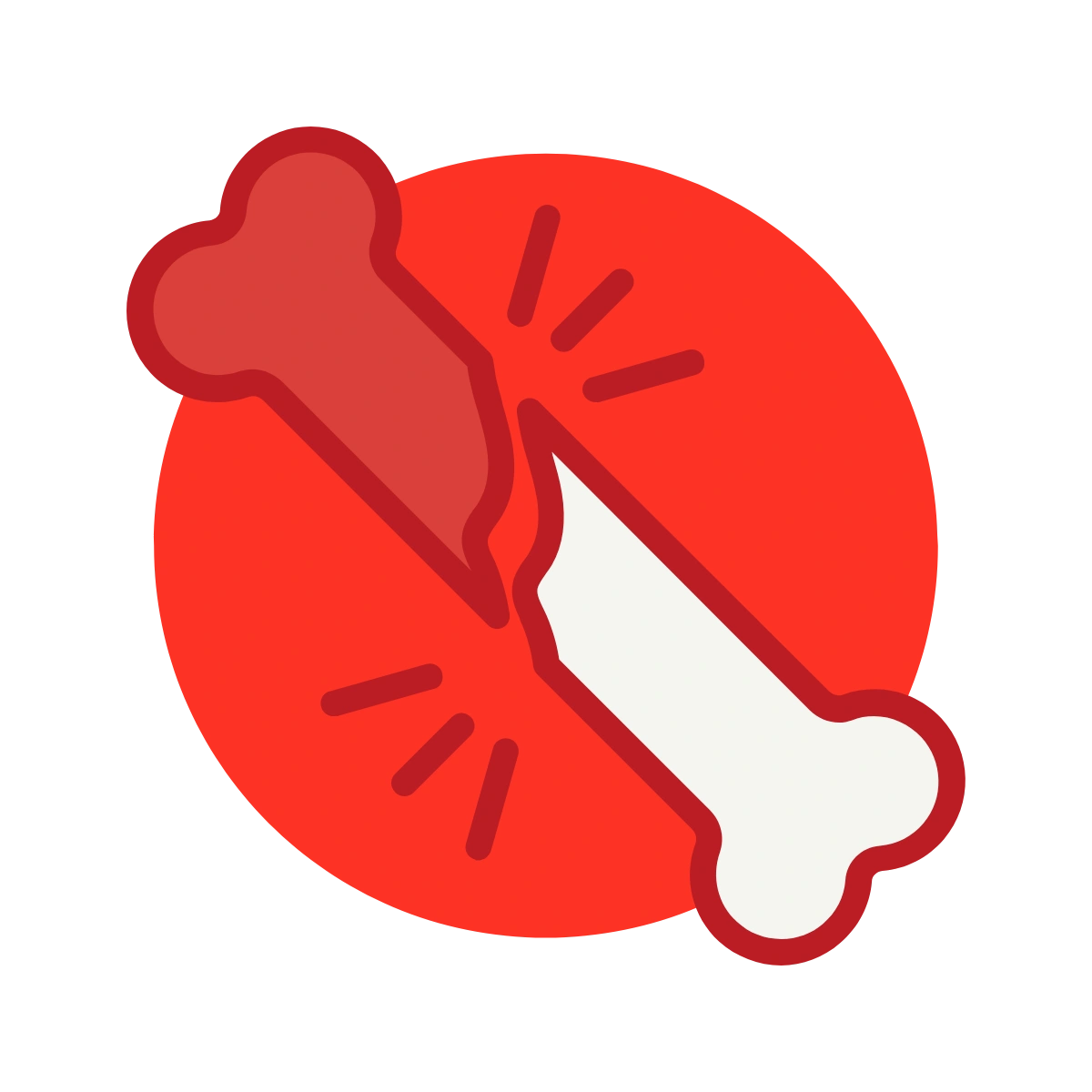 Deep Learning in Radiology: A CNN-Based Approach to Bone Fracture ...