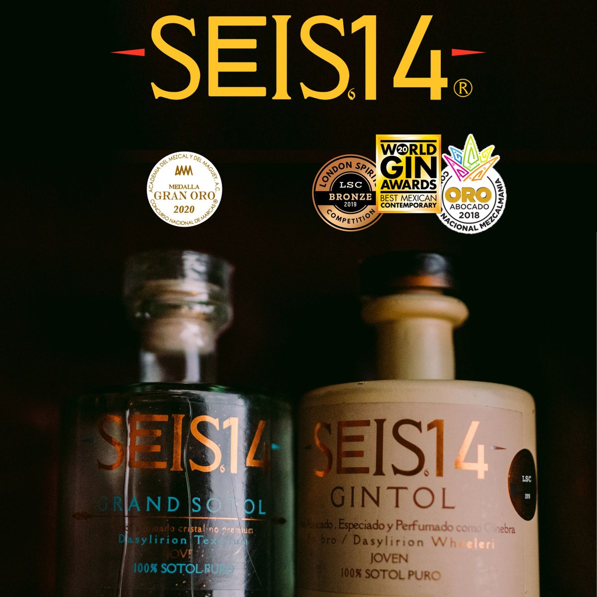 CAJA PROMOCIÓN (3 GINTOL + 3 GRAND SOTOL)