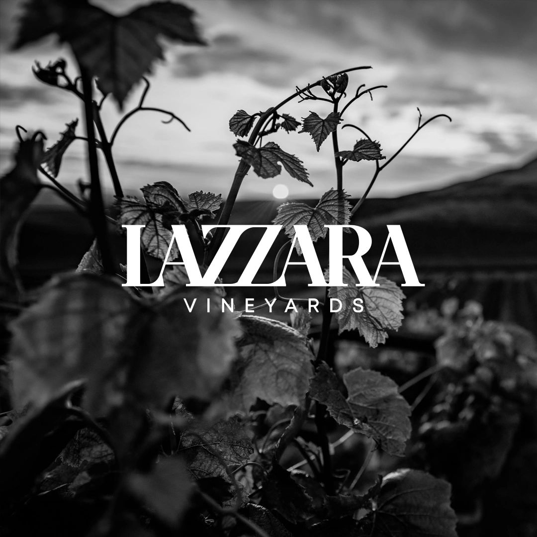 LAZZARA VINEYARDS