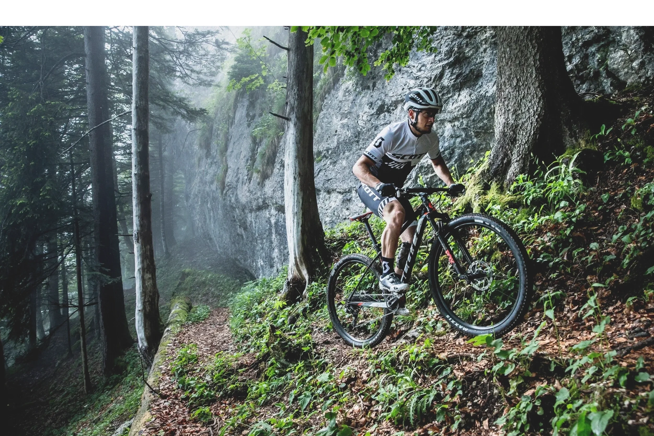 Cog Bikes Australia