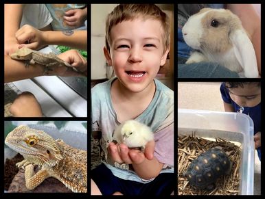 Mobile Services & Pricing