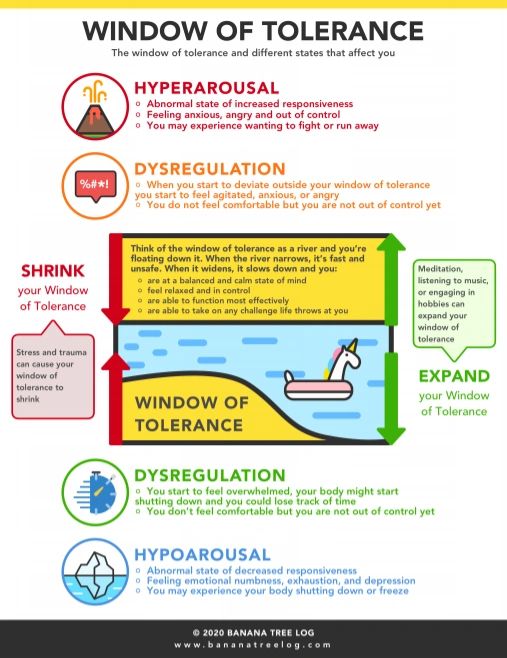 The WINDOW of TOLERANCE...What the...