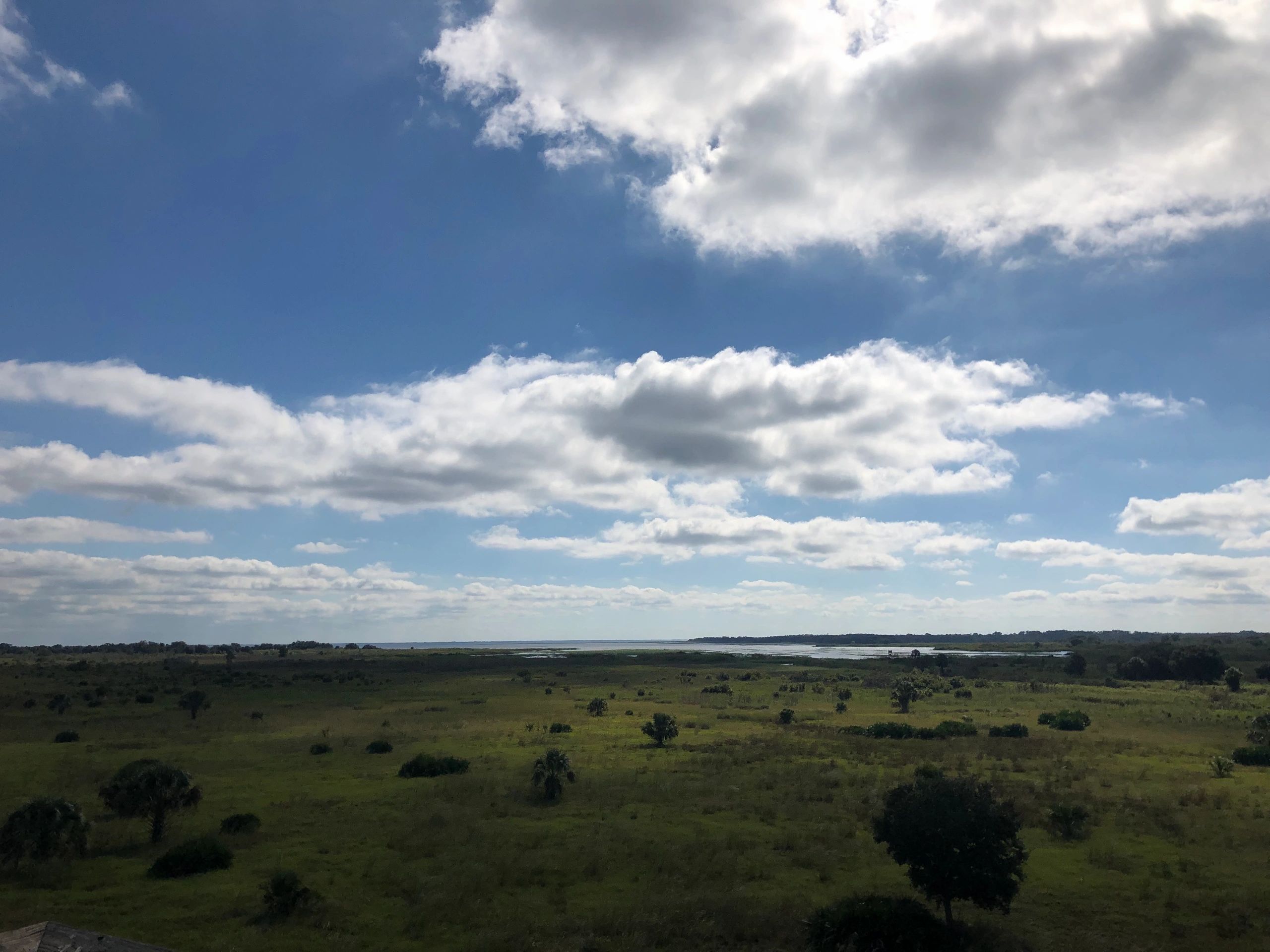 Lake Kissimmee State Park