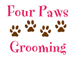4 paws grooming store