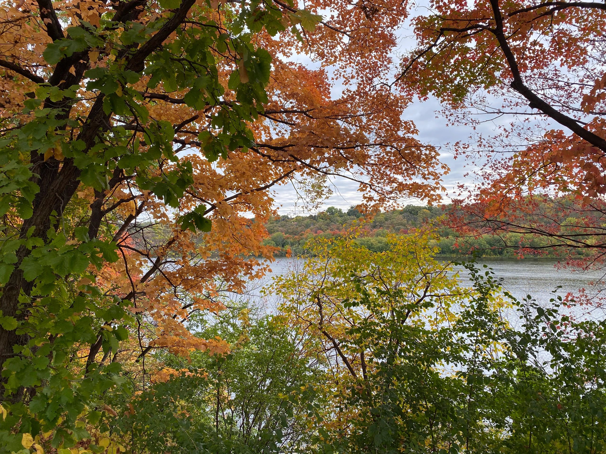 Nature-Based Providers | Minneapolis Nature-Based Therapy