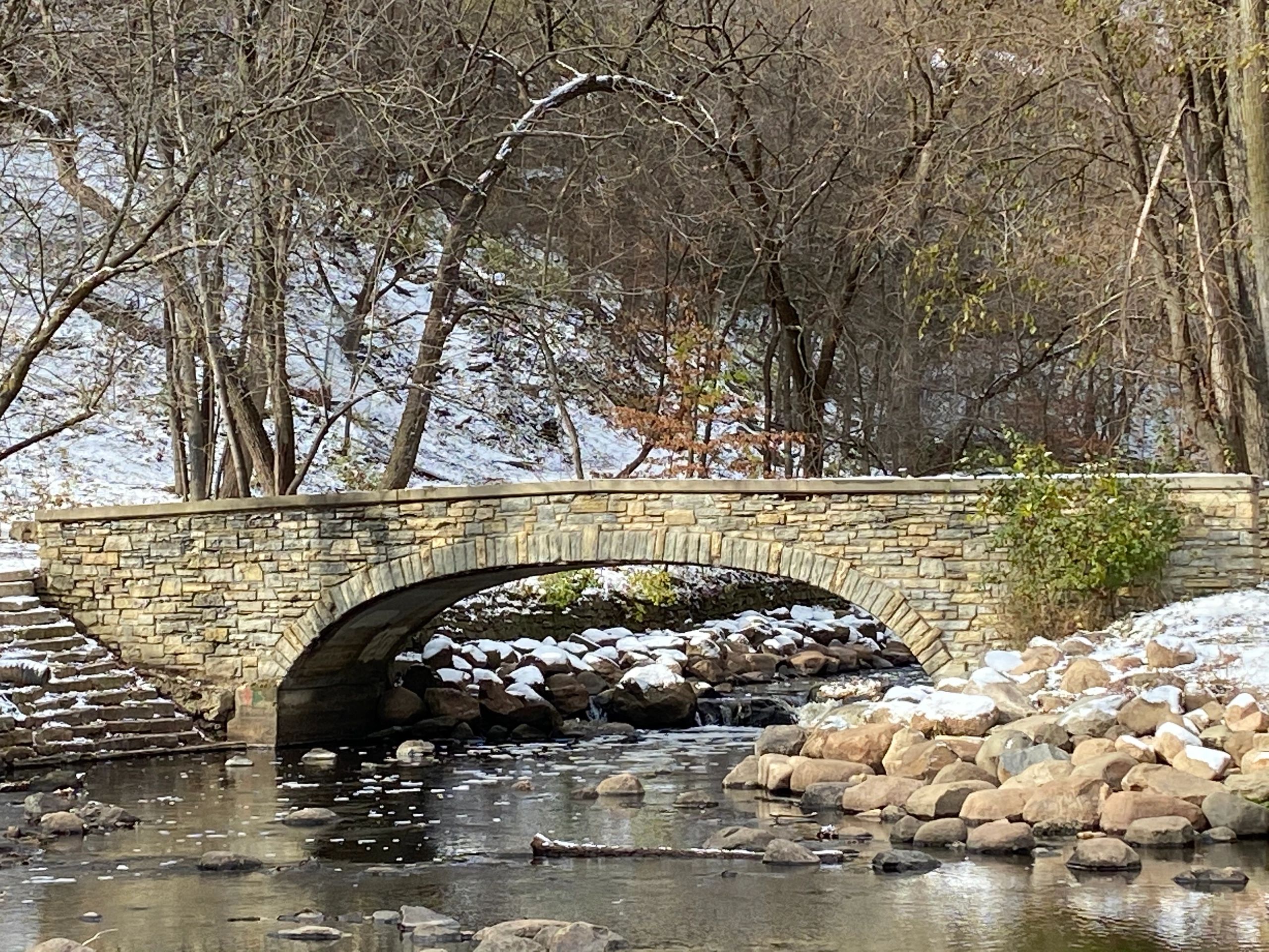 Minneapolis Nature-Based Therapy