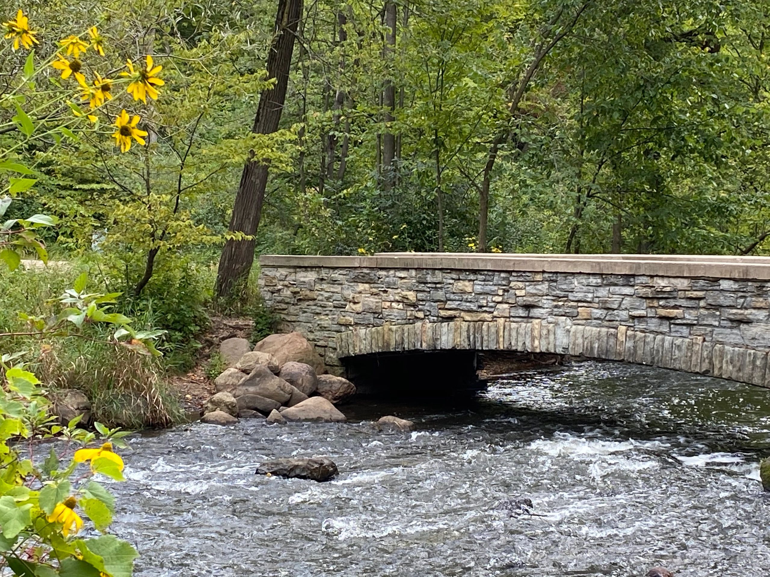 Minneapolis Nature-Based Therapy