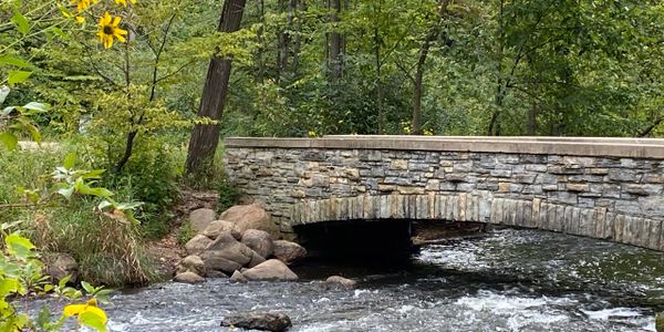 Minneapolis Nature-Based Therapy
