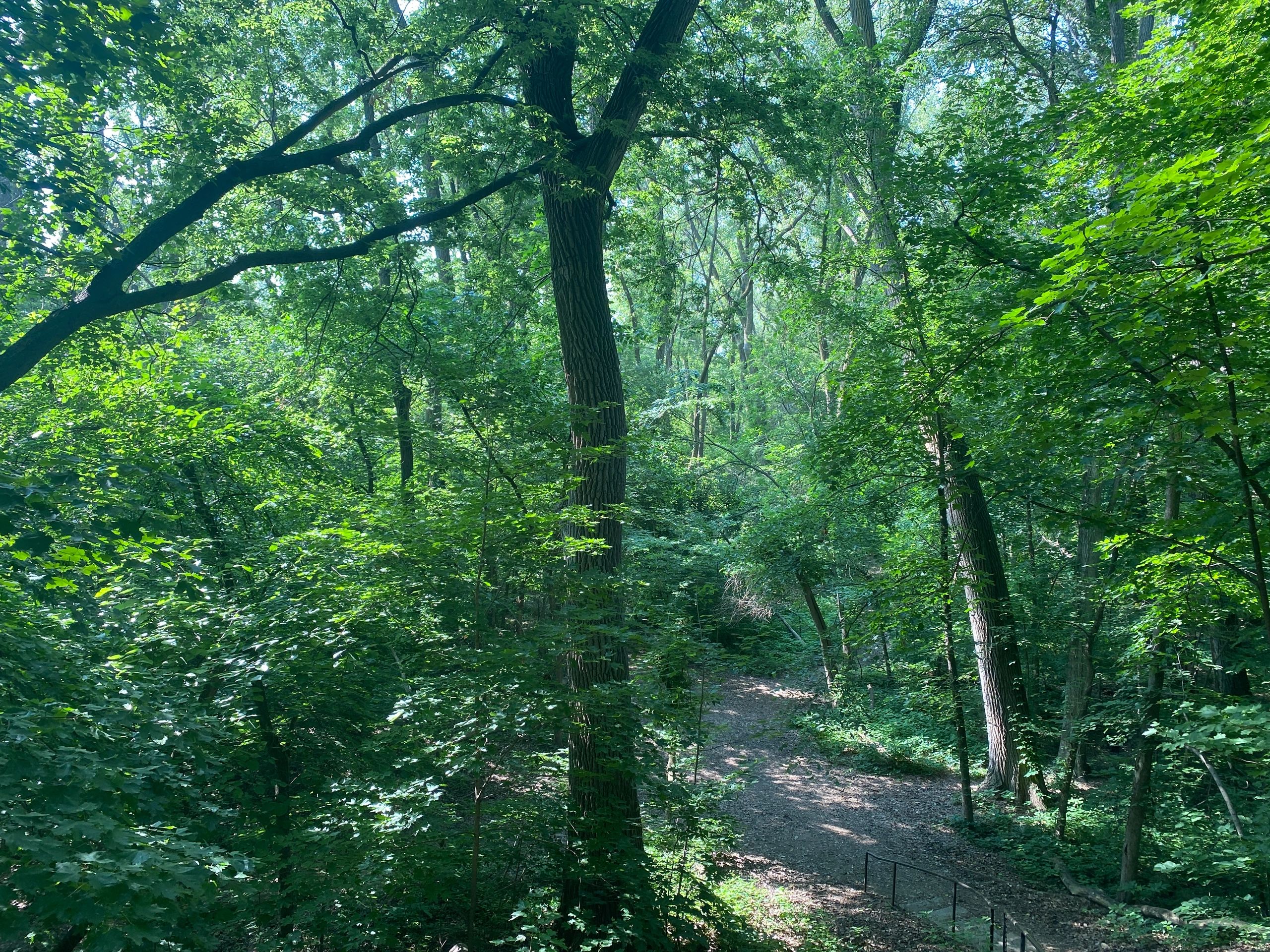 Minneapolis Nature-Based Therapy