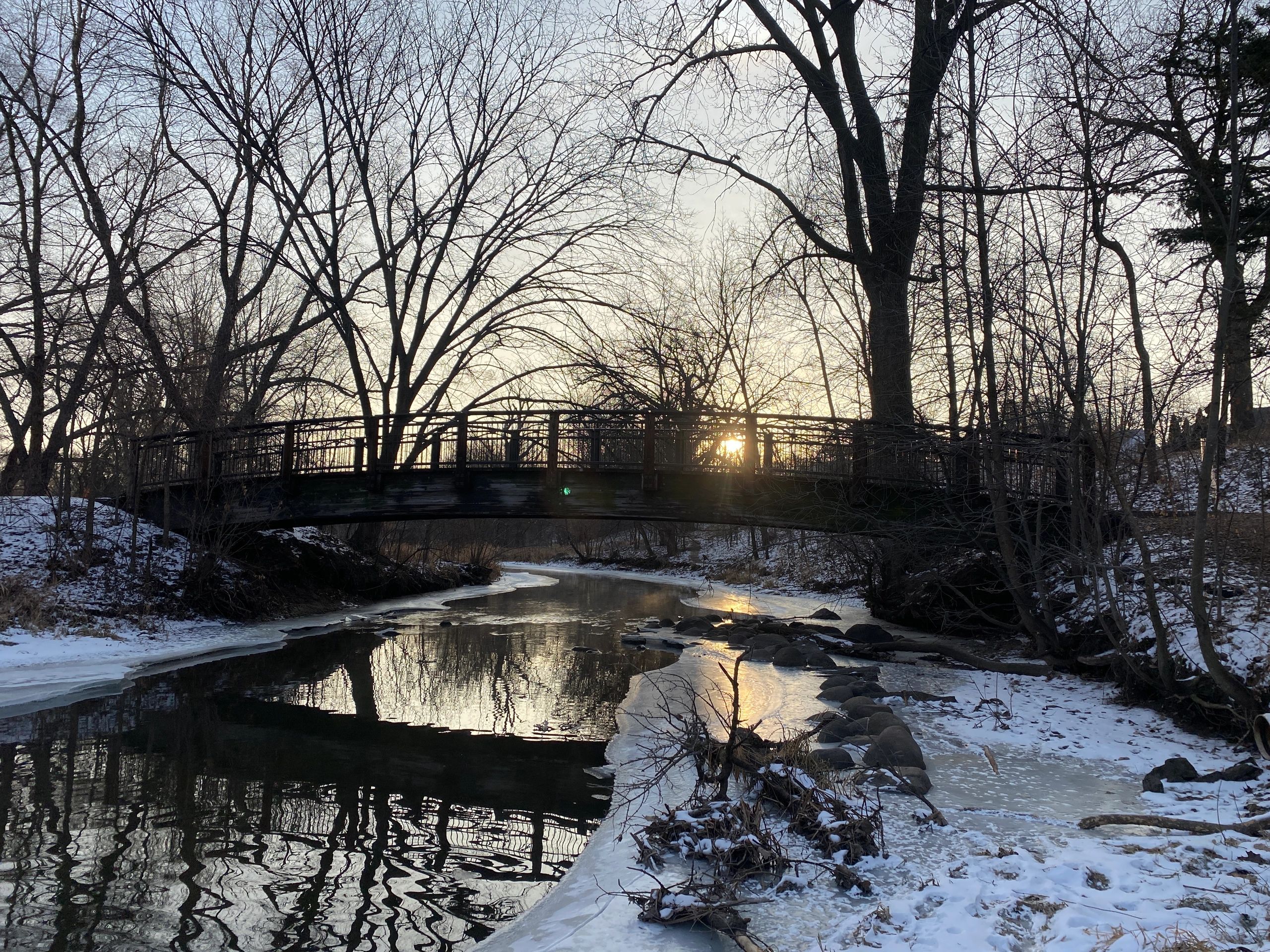 Minneapolis Nature-Based Therapy