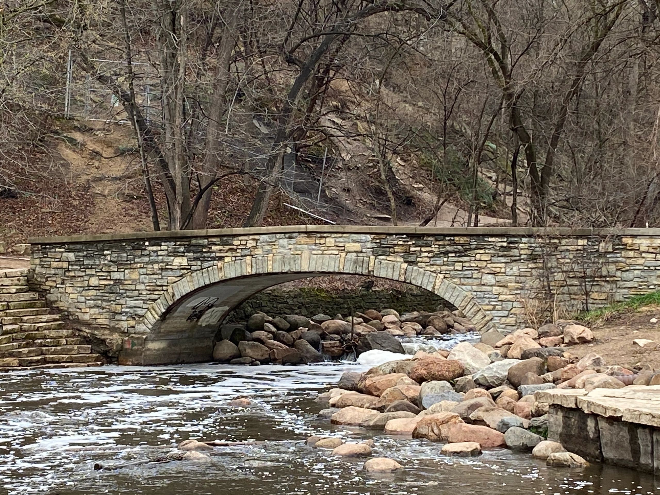 Minneapolis Nature-Based Therapy
