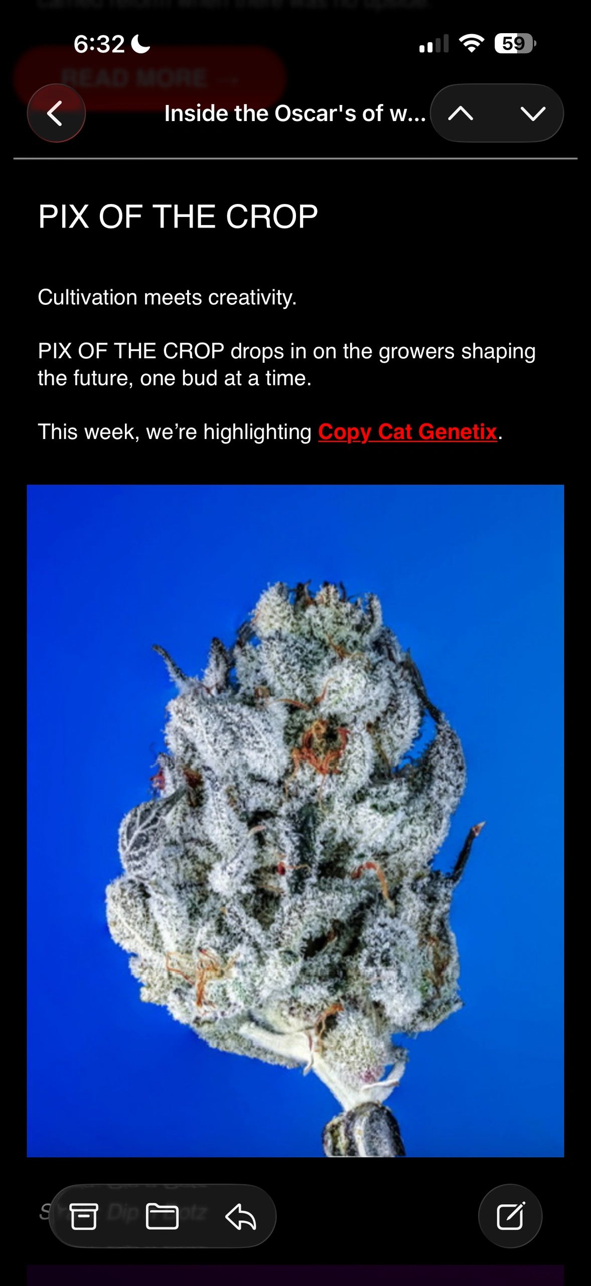 CopyCat Genetix: Featured Again as World's Best Breeder