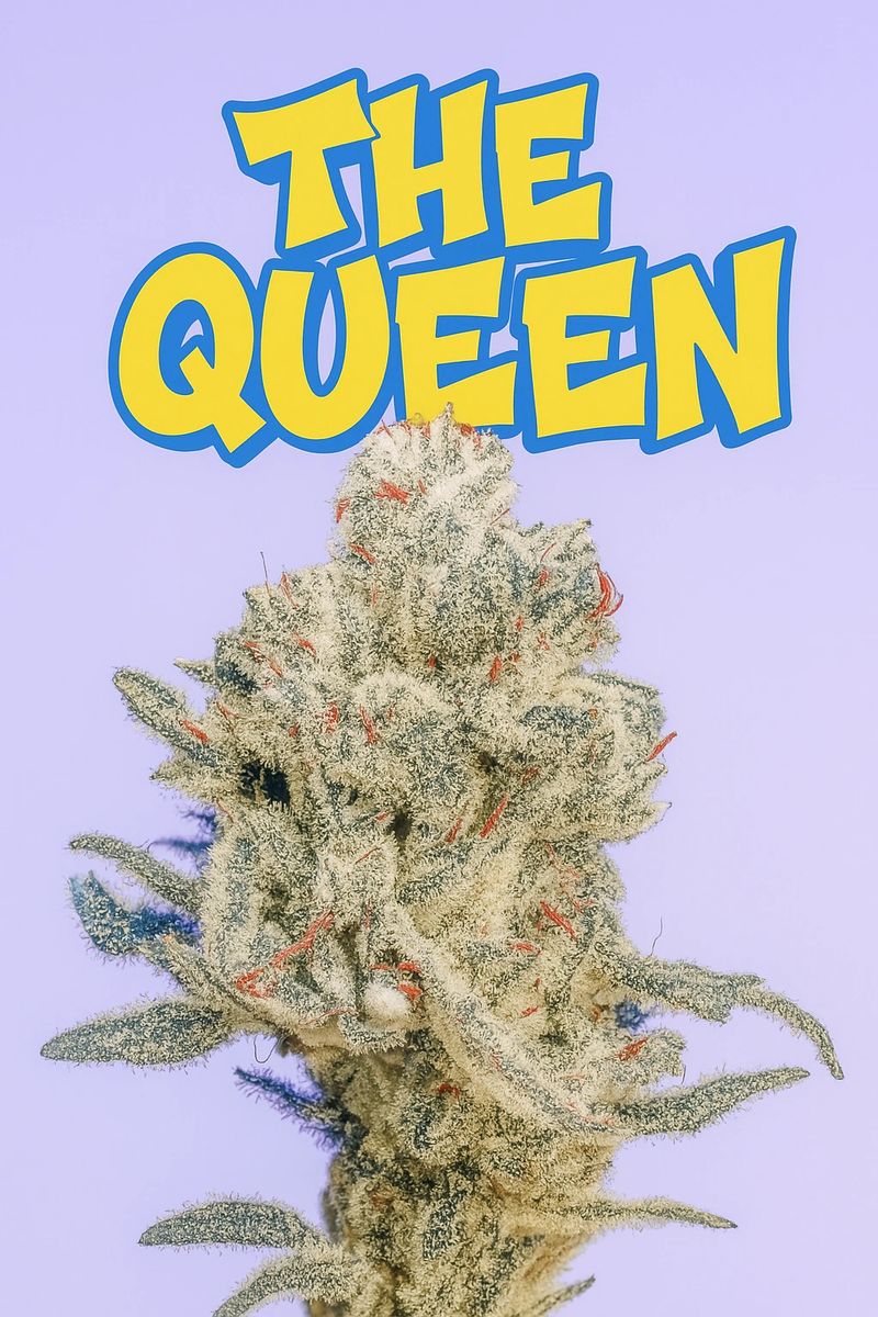 The Queen S1