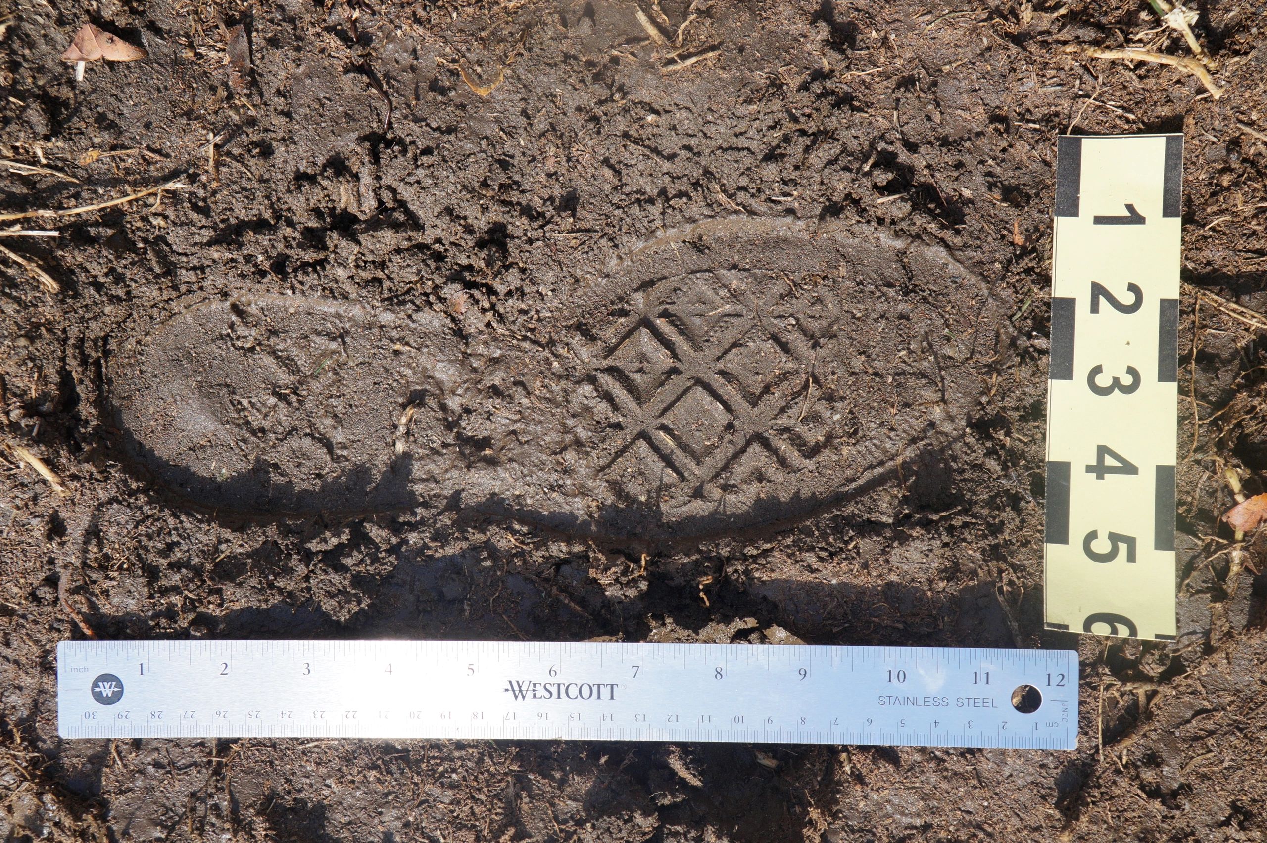 Impression Evidence (Part 1)