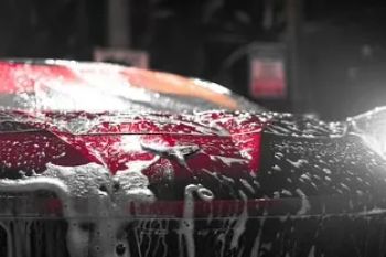 Carolina Exotic Detailing