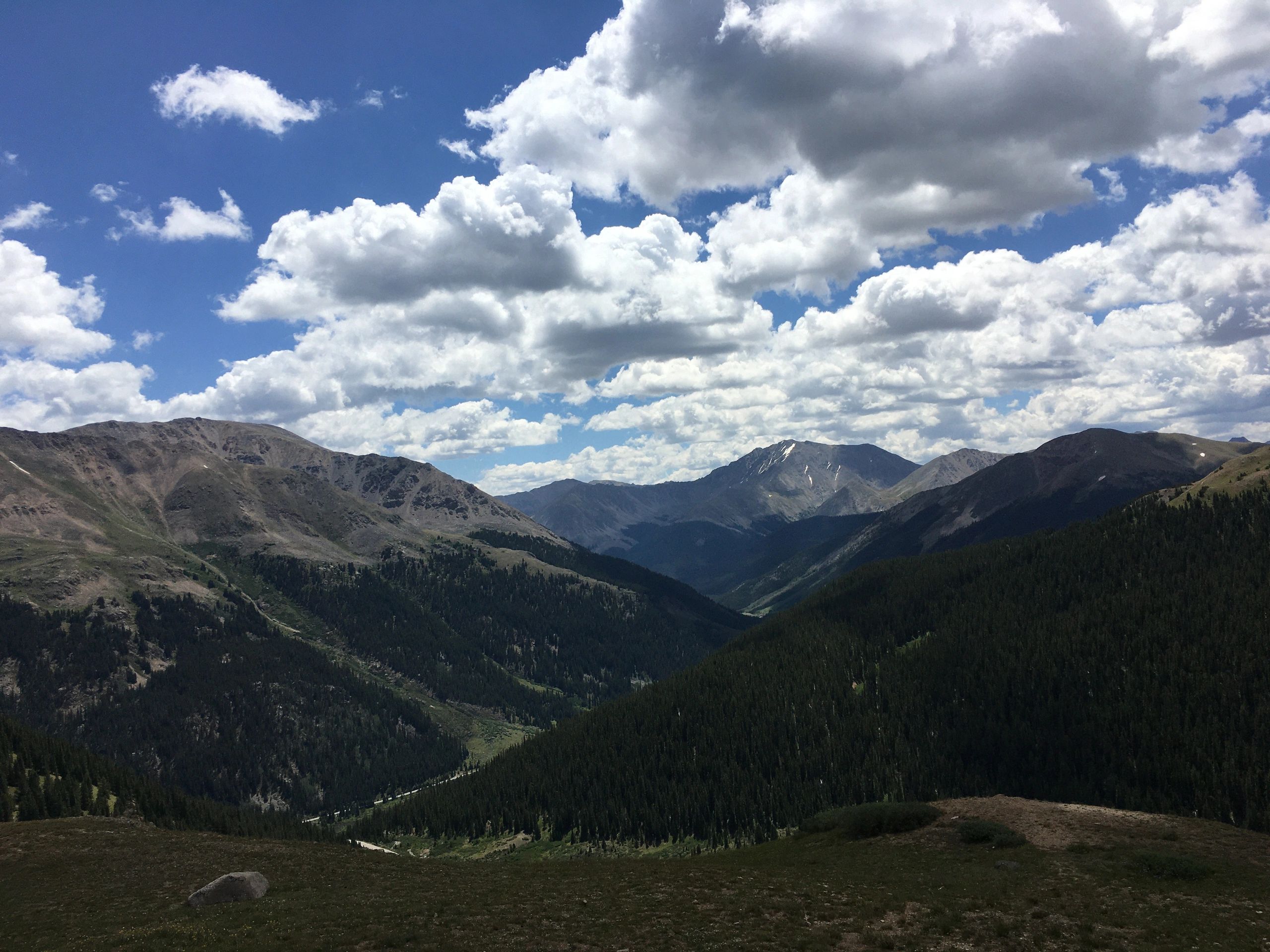 Colorado Family Insurance