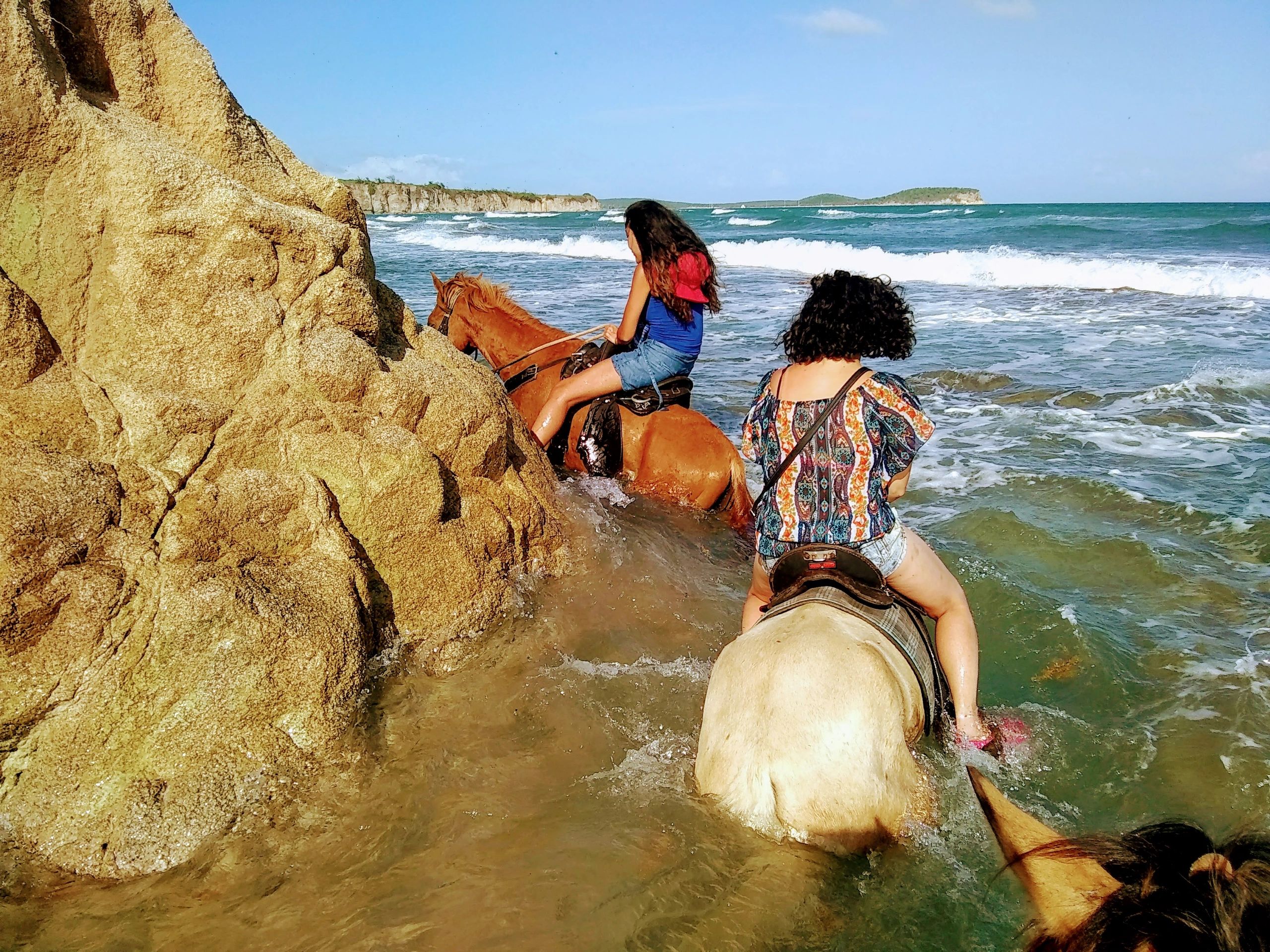 Tours | Jurutungo Farm