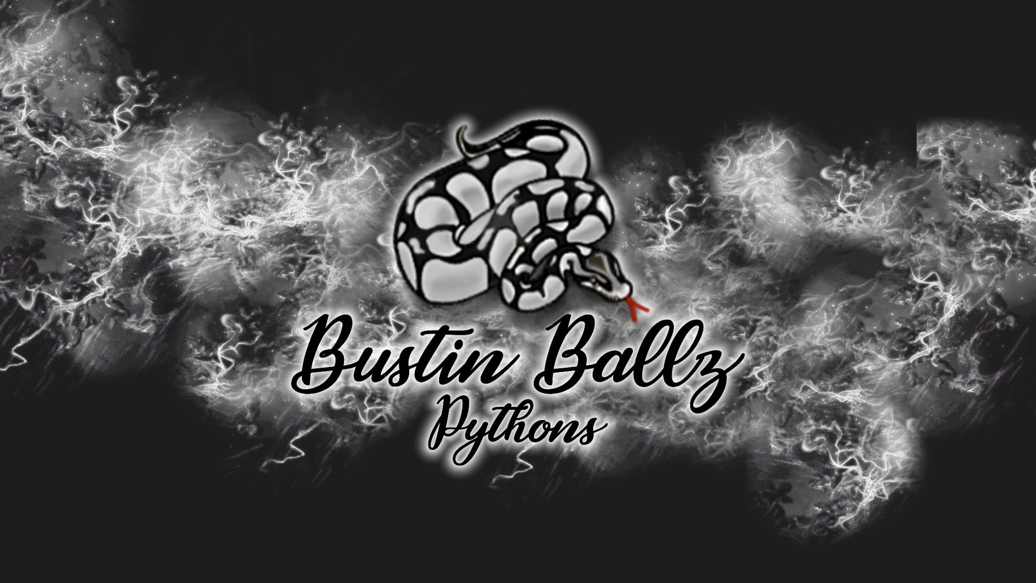 Creating Unique Ball Pythons - Bustin Ballz Pythons