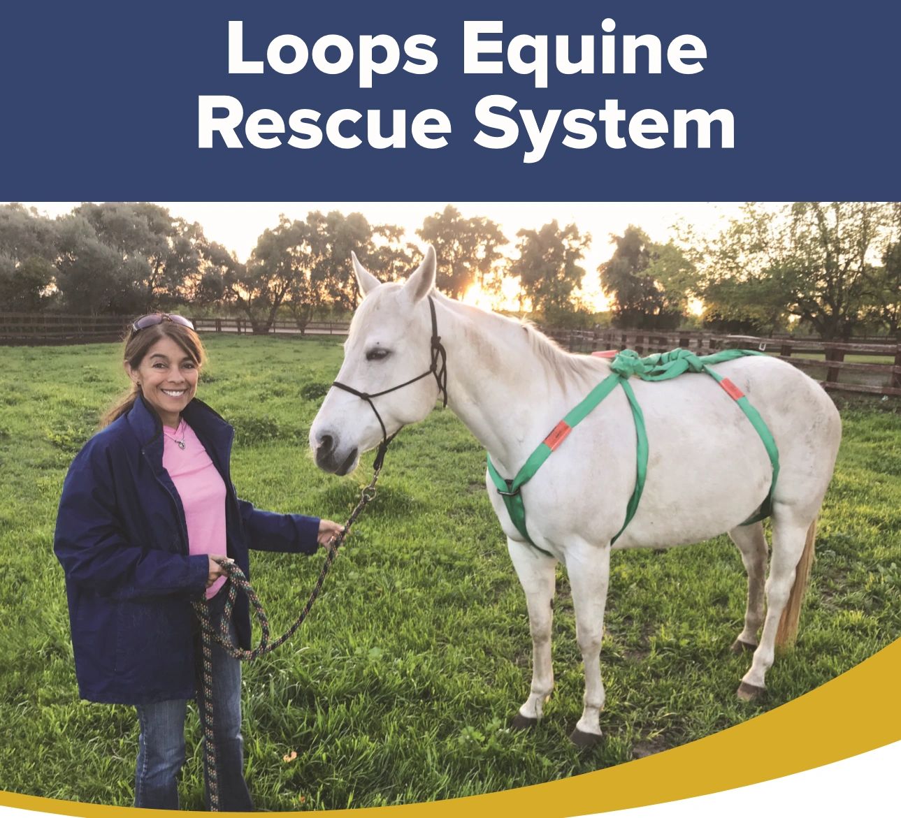 Loops Rescue System