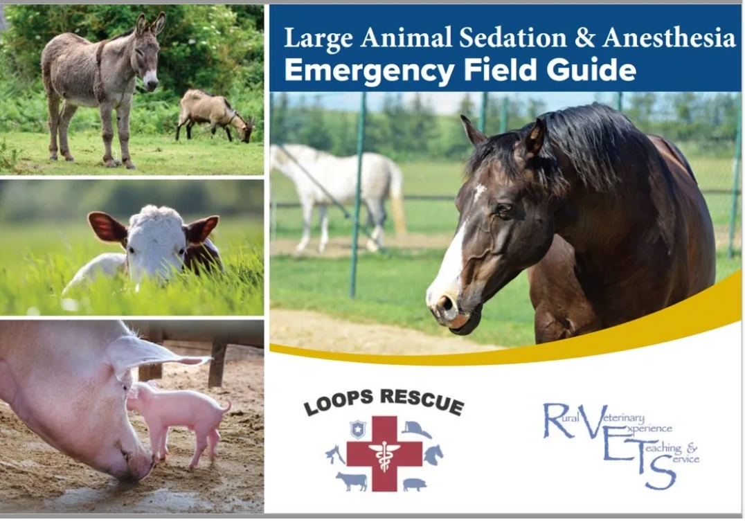 Large Animal Sedation & Anesthesia Field Guide