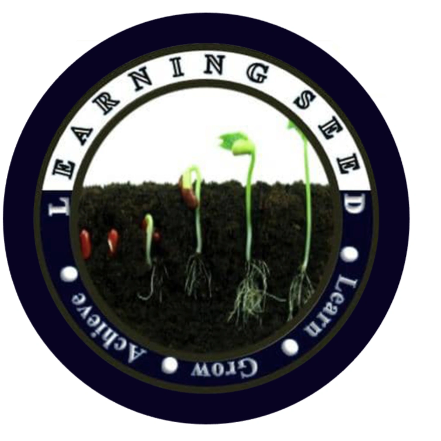 Learning Seed | British International College & School - Hargeisa