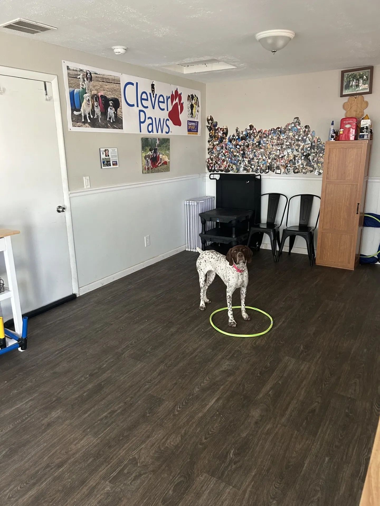 Private Training at Clever Paws with You & Your Dog
