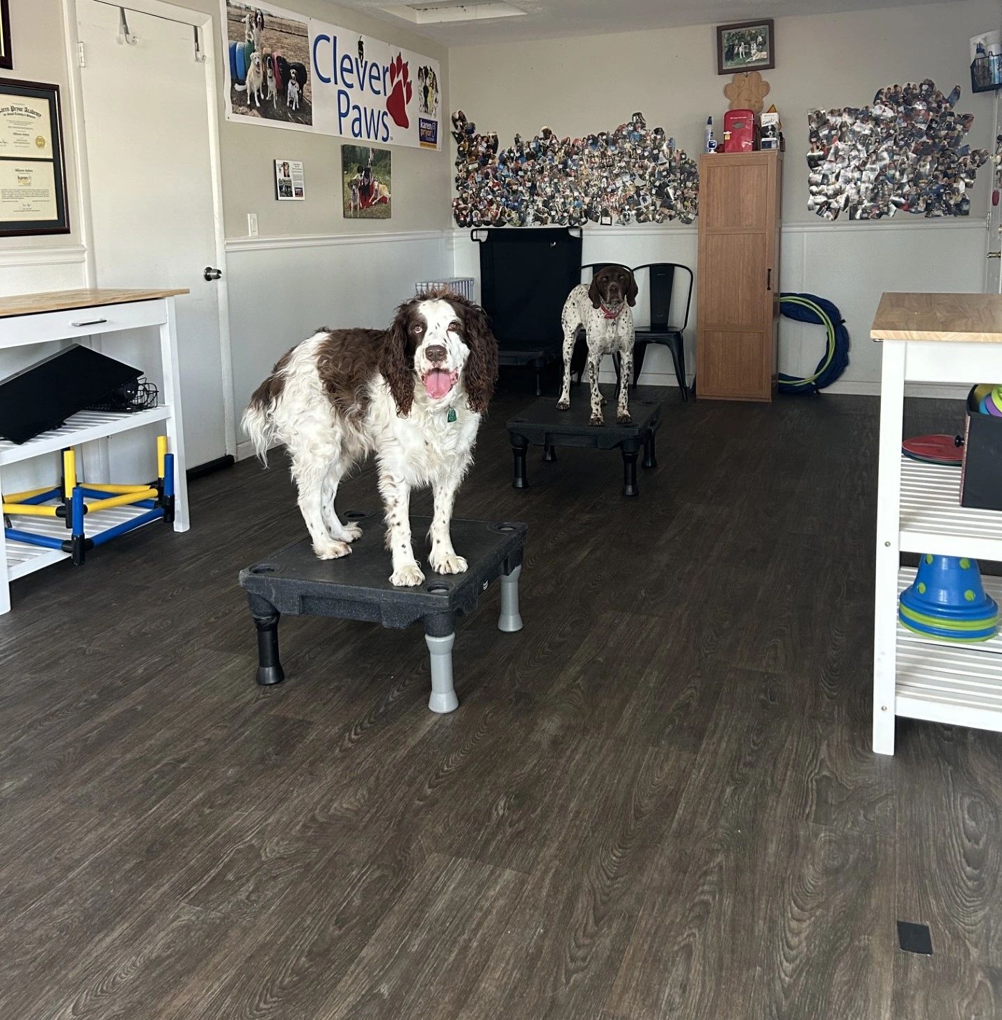 Good Doggo Class with Allison