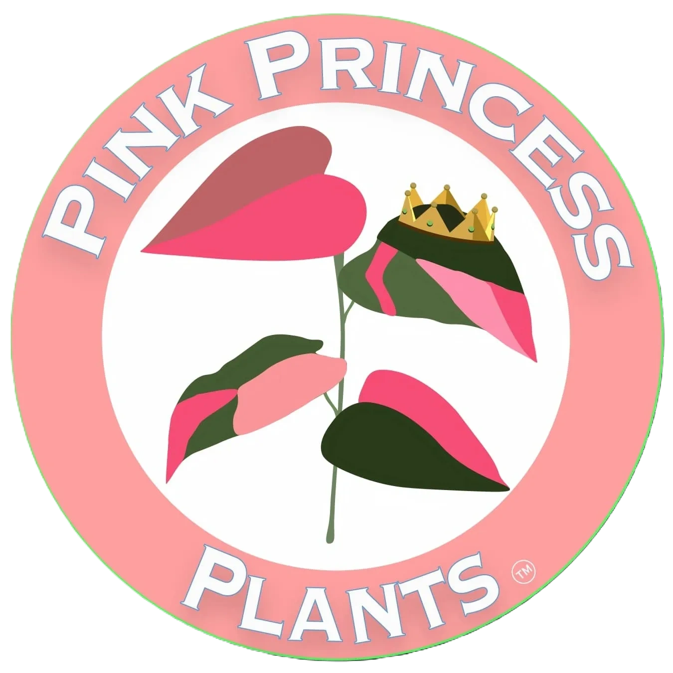 Pink Princess Plants
