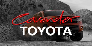 Cavender Auto Family