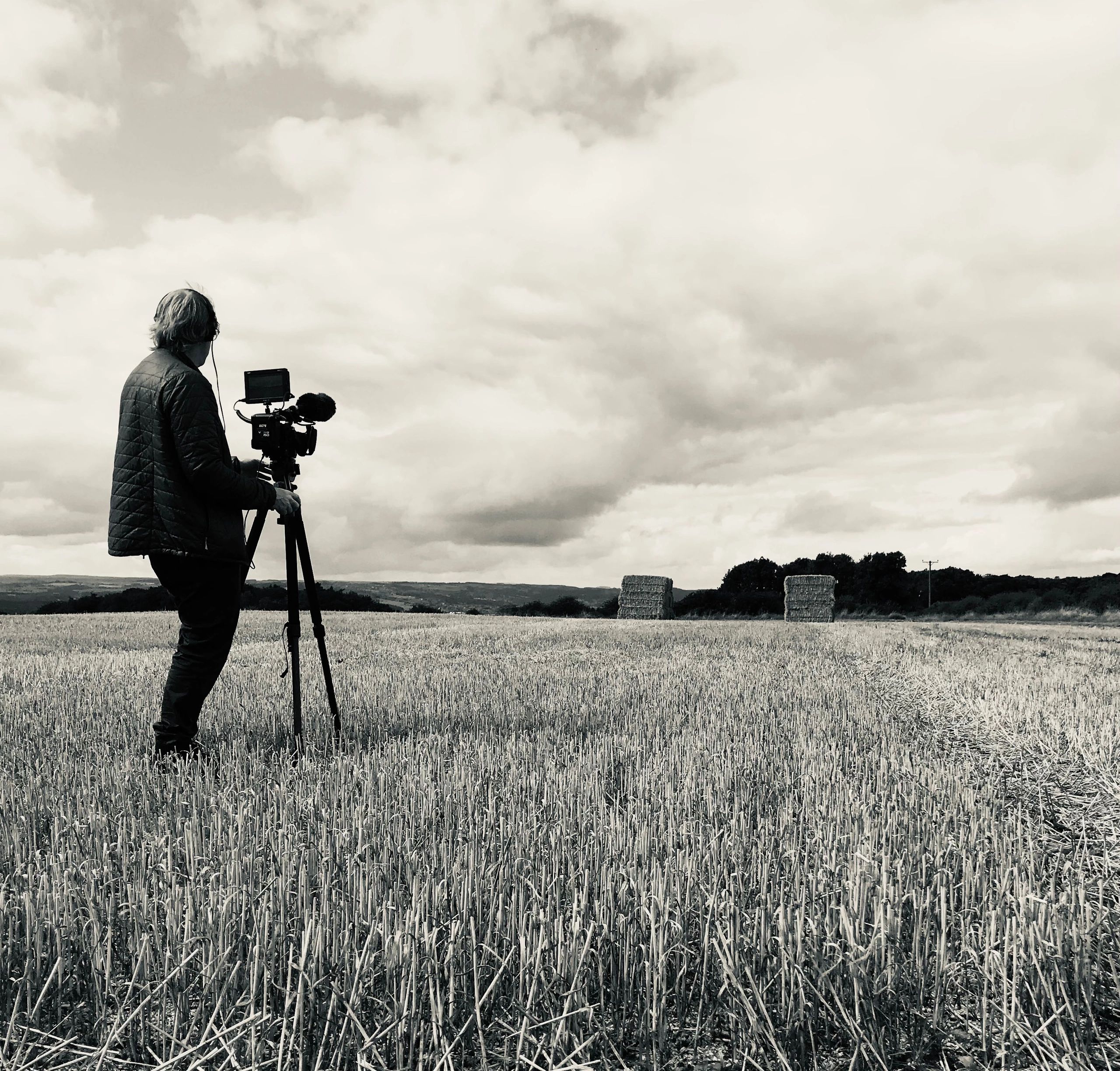 HOME [davebrewis.com]