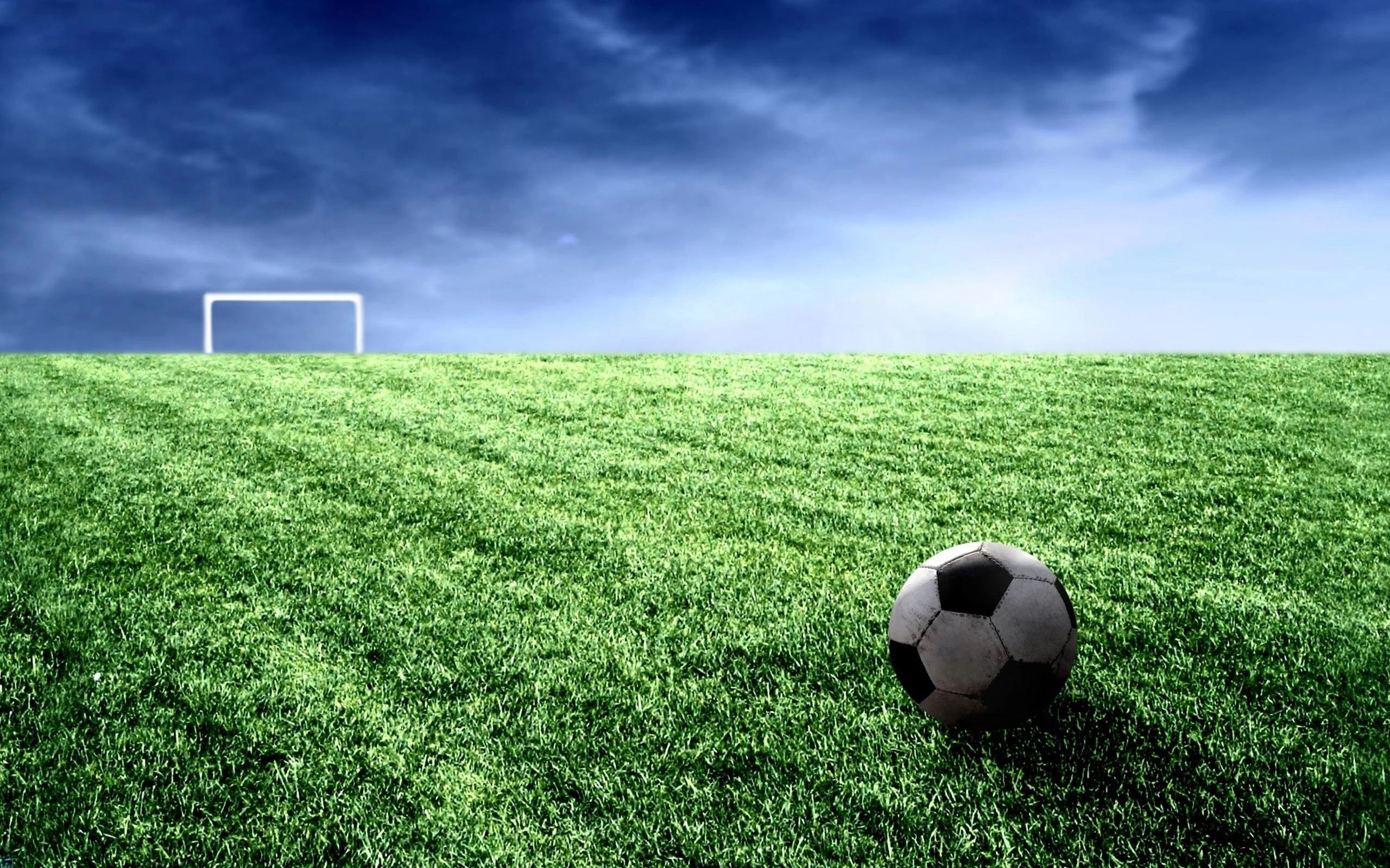 2026 Tournament Winners | Tri-City Soccer Association