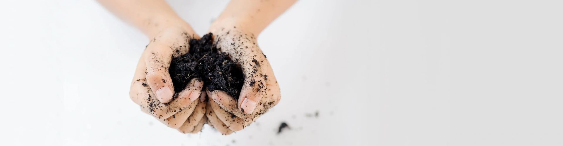 Ranch Worms - West Ranch Worms and Vermicompost