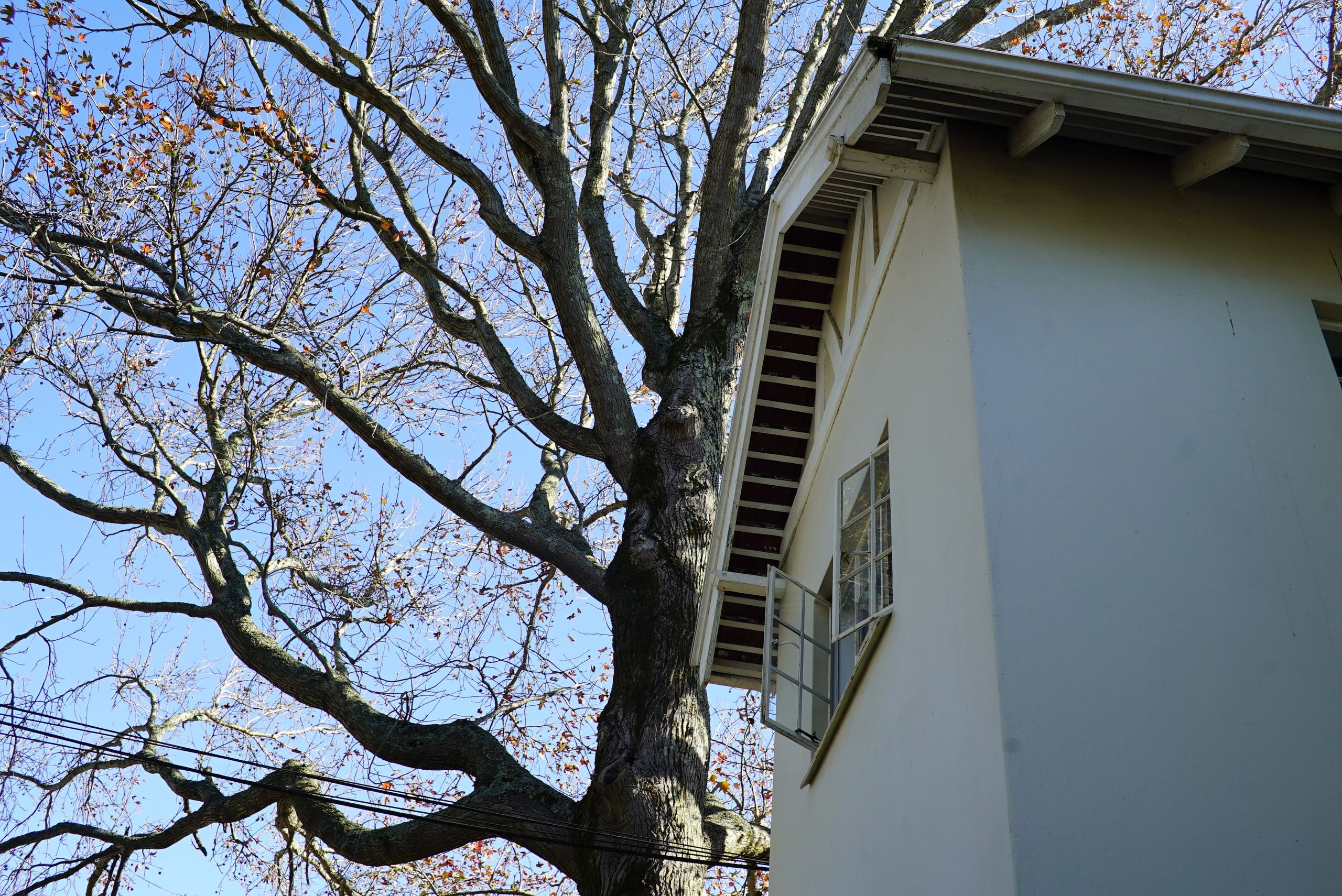 The Bridge Sober Living - Halfway House and Sober Companion Services