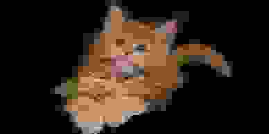 Maine Coon Kittens For Sale - MaineCoon Pride | MaineCoon Pride