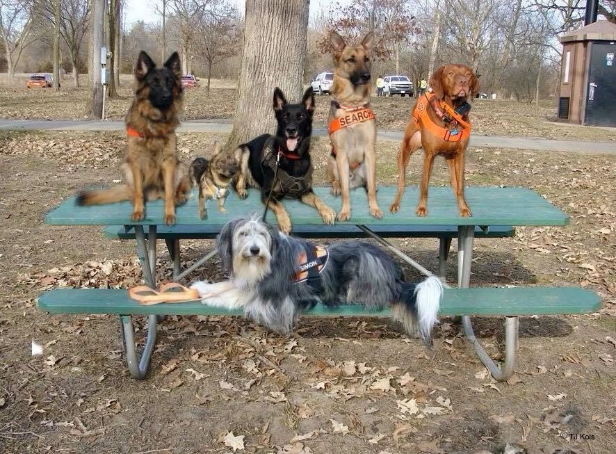 Victim Found K-9 Search and Rescue