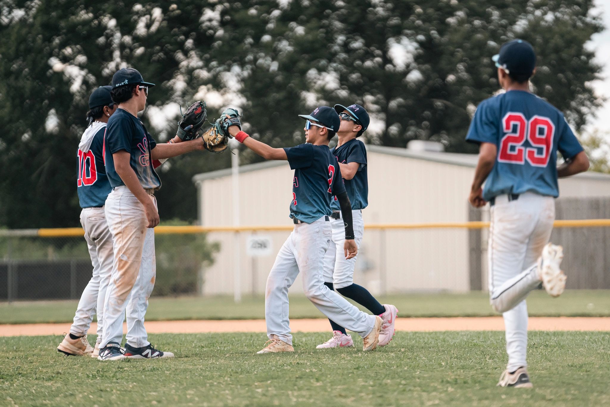 World Baseball Academy