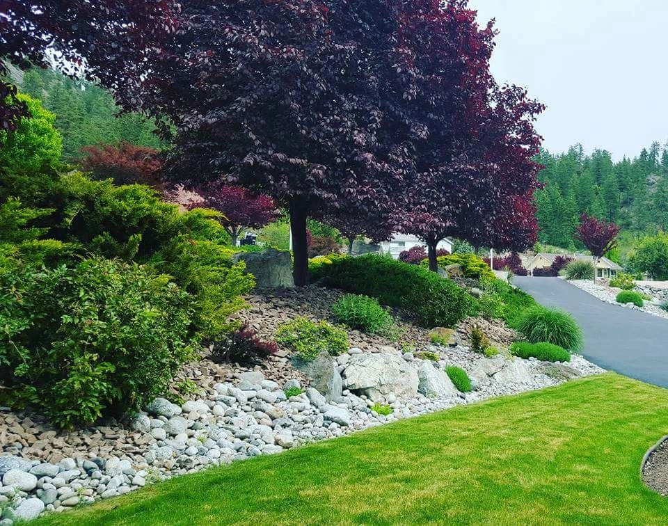 Superior Tree & Landscapes Inc