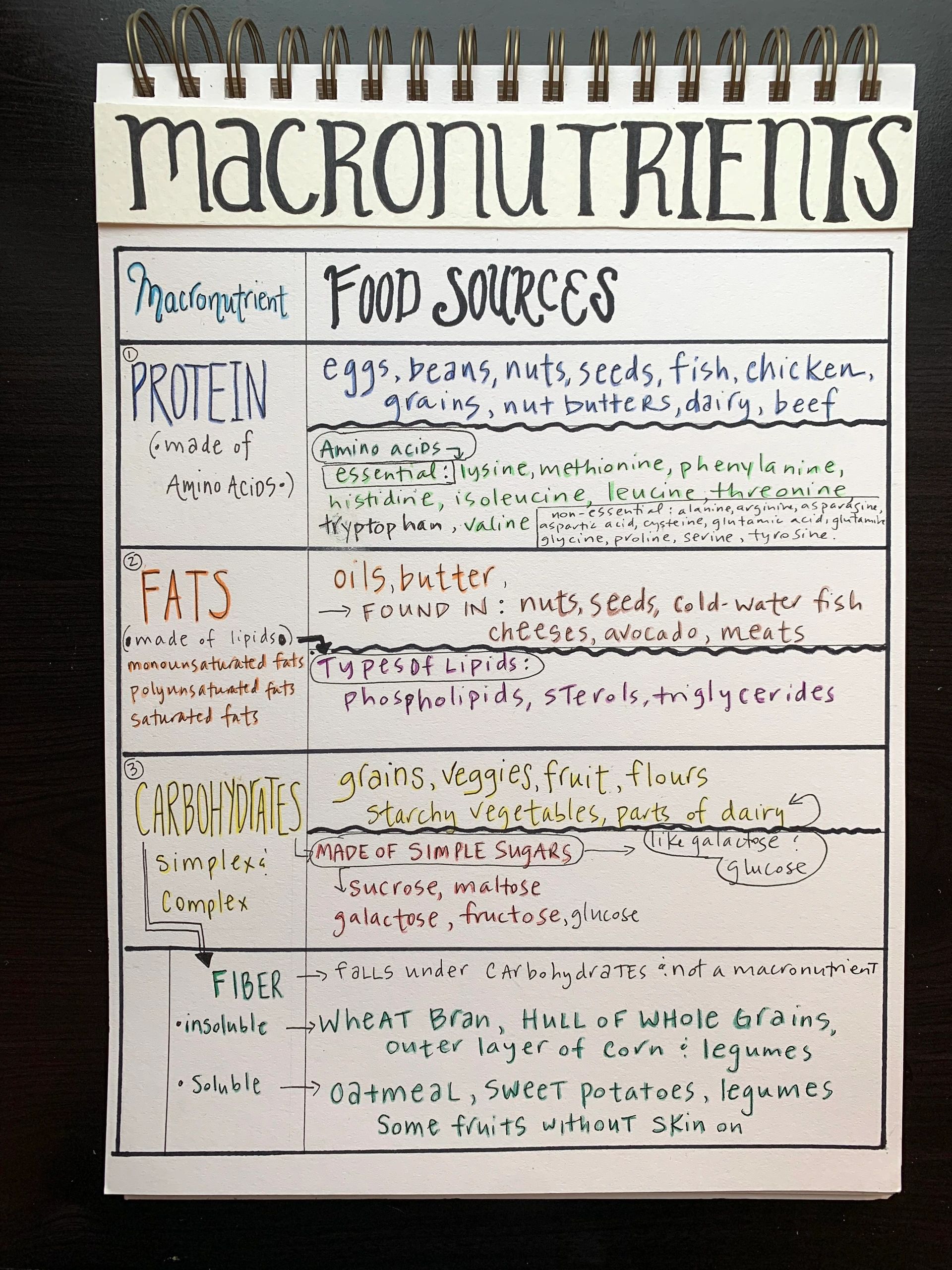 ED: Overview of Macronutrients, the Basic Building Blocks of Food