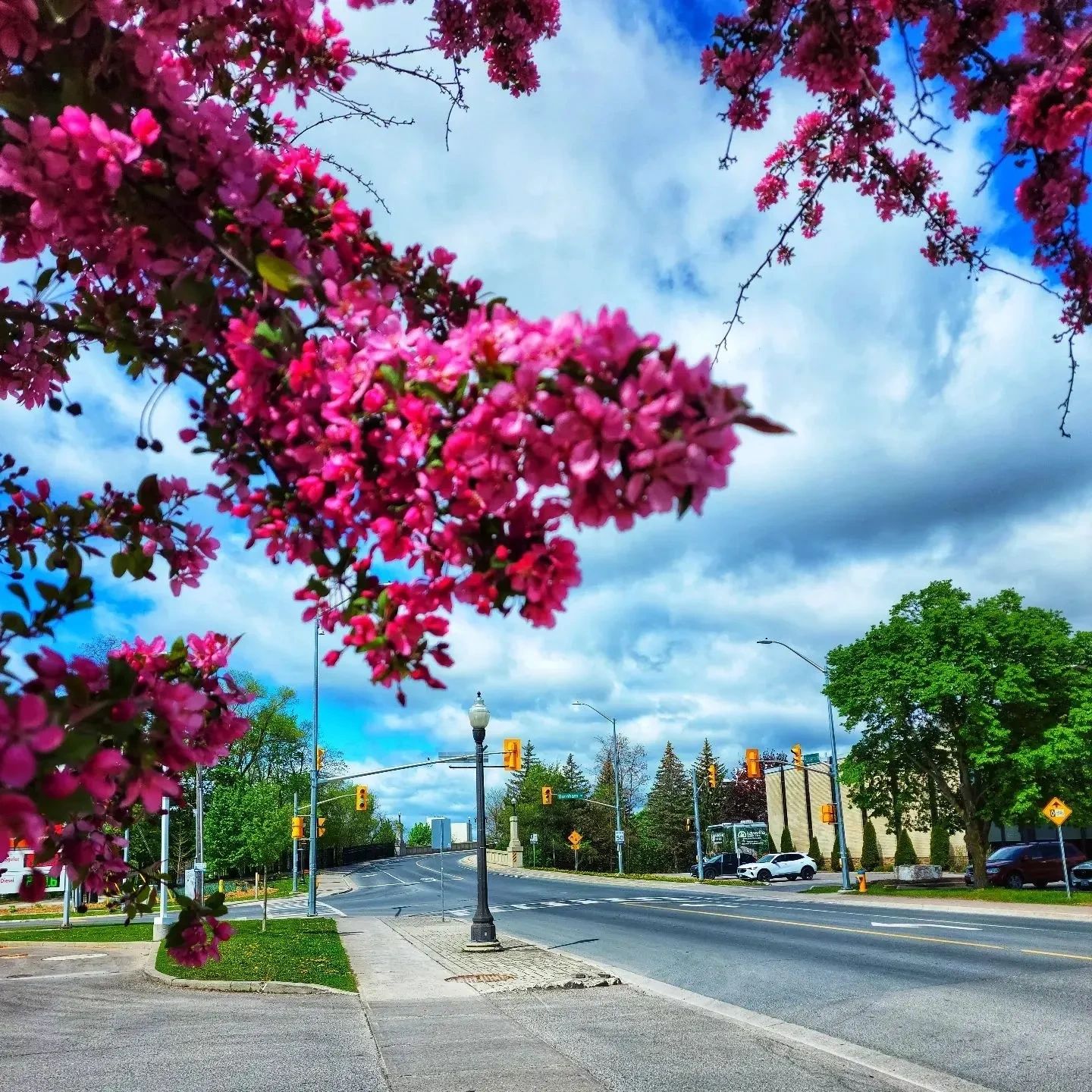 East City PTBO