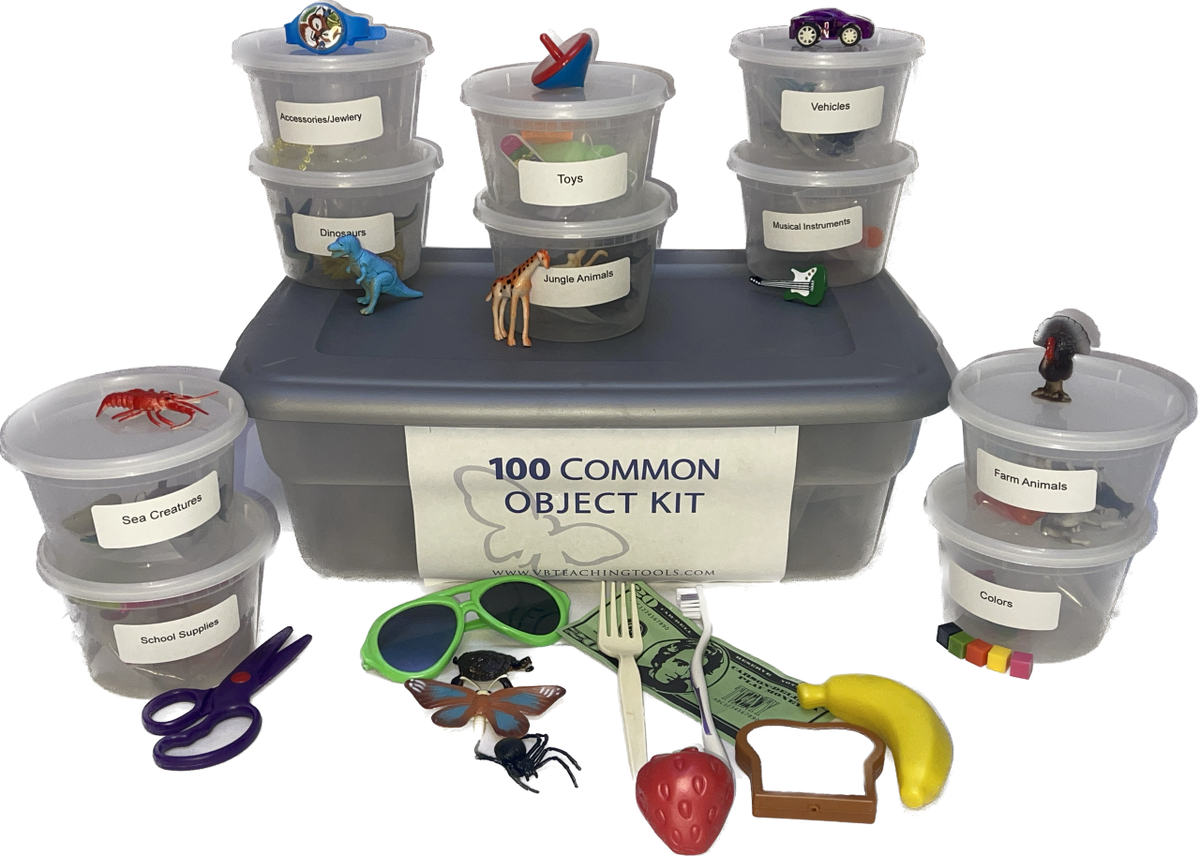100 Common Objects Set
