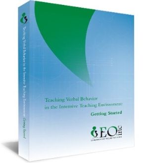 Teaching VB in Intensive Teaching Environment: Getting Started