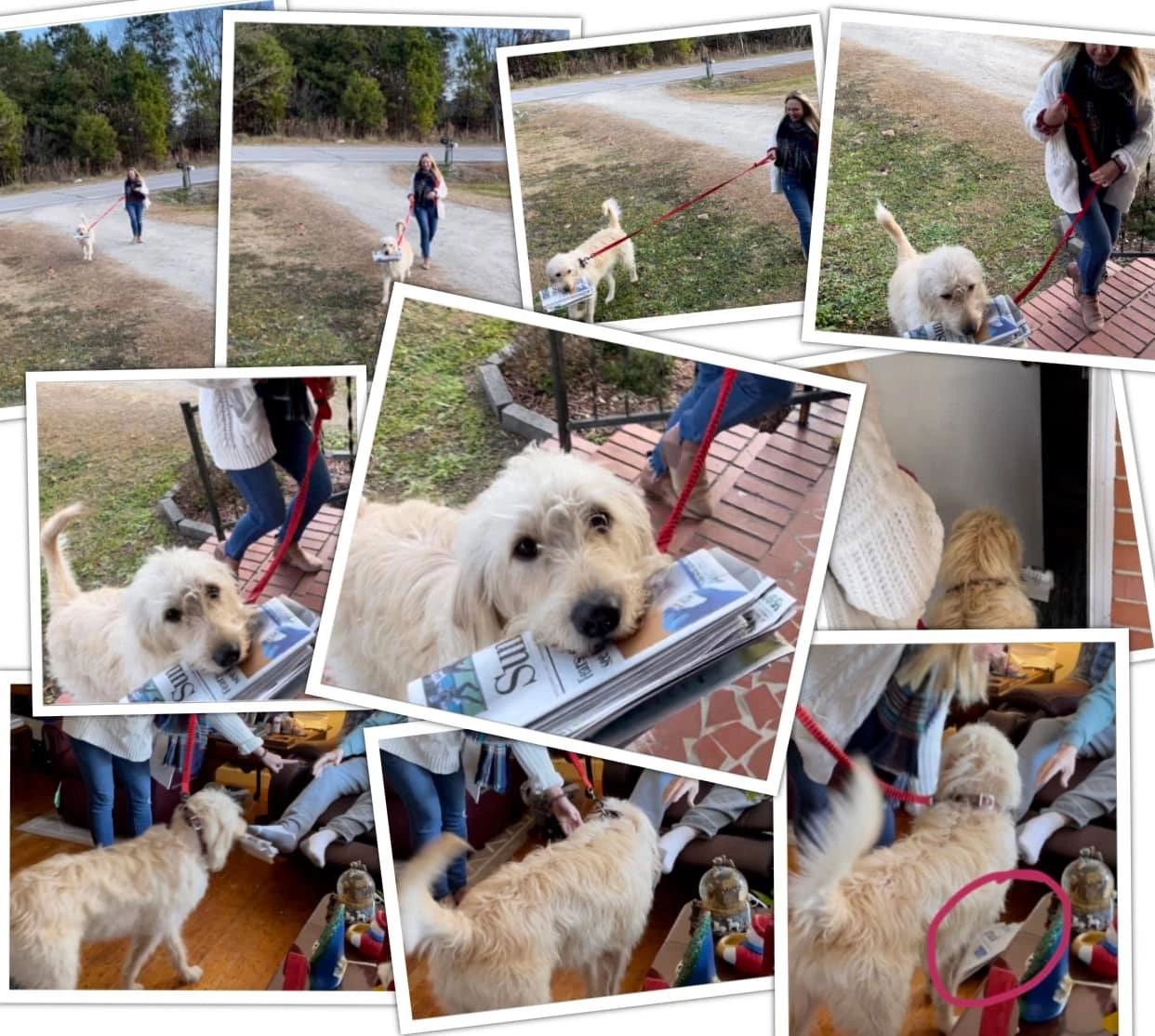 Getting the Paper, Part 1