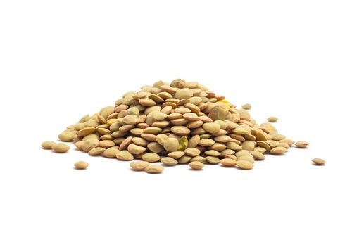 Green Lentils - 100g