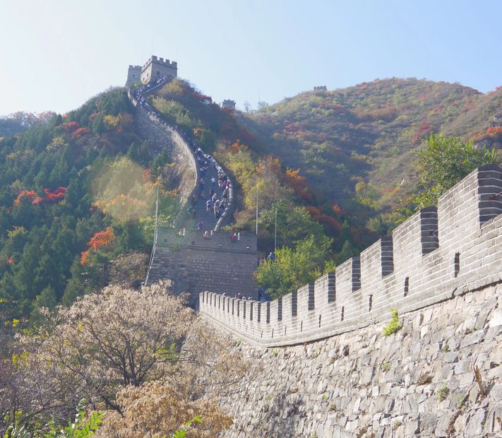 Priority Travel, LLC - Travel Agency, Tours