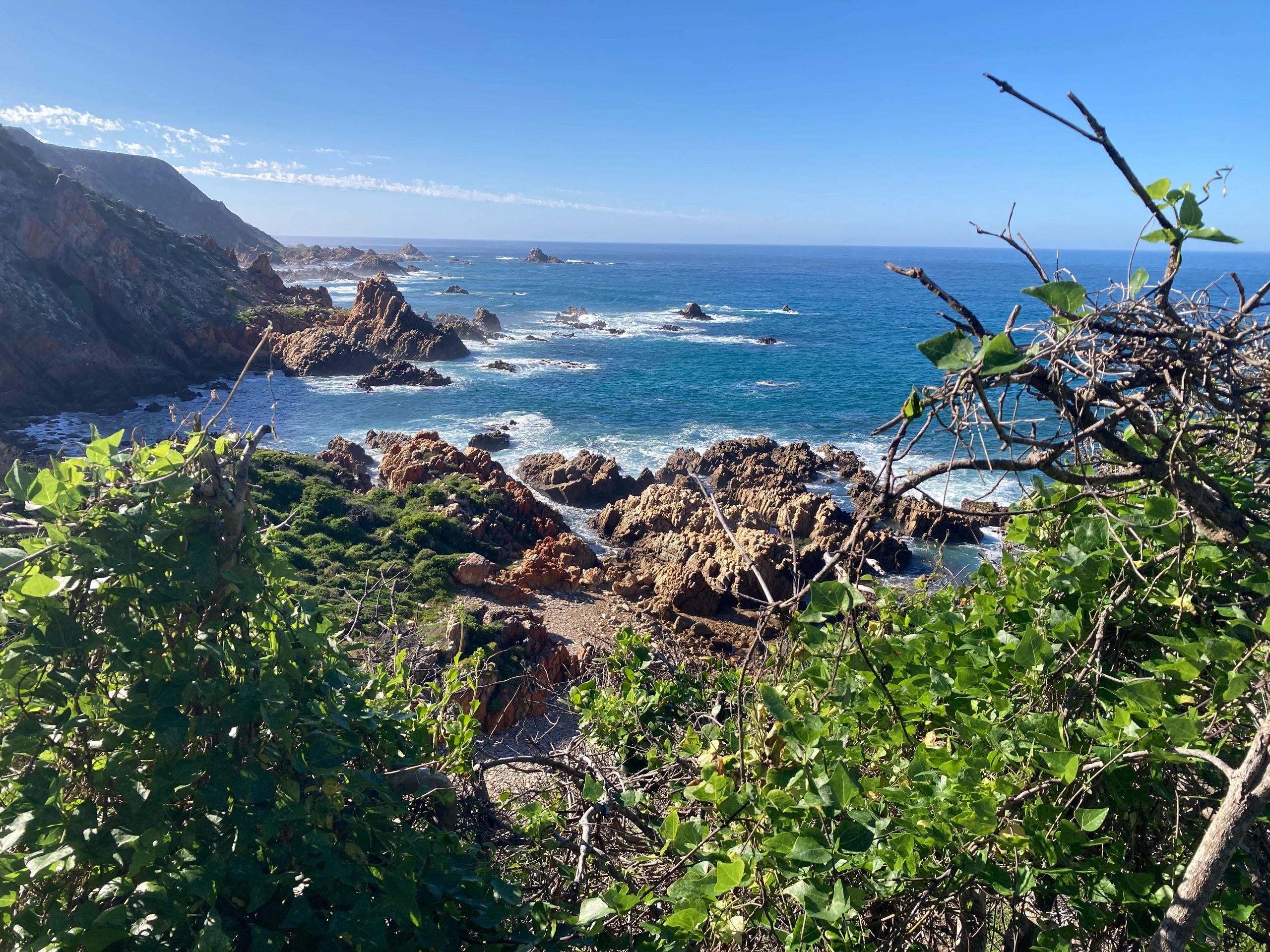 Hiking in Harkerville: The Ultimate Guide